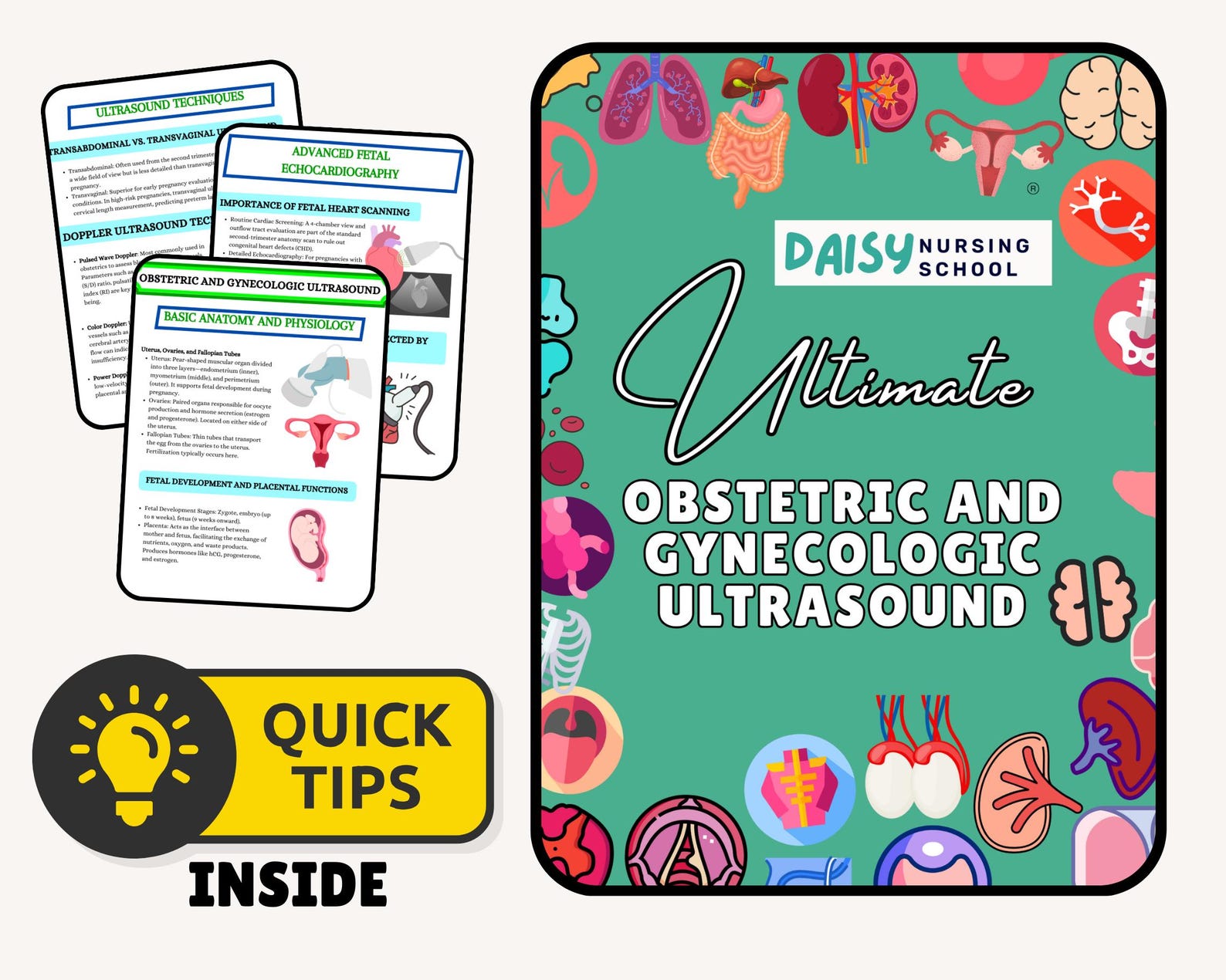 Obstetric Gynecologic Ultrasound Study Guide - Sonographer Notes ...