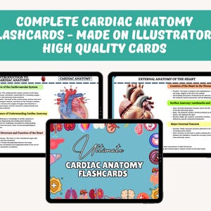 Cardiac Anatomy Flashcards | Cardiovascular System | Heart Anatomy ...