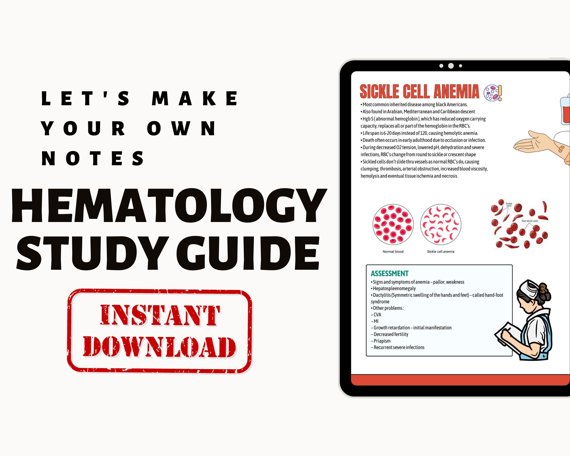 UPDATED: Nursing Hematology Study Guide 2024, Hematologic Disorders ...