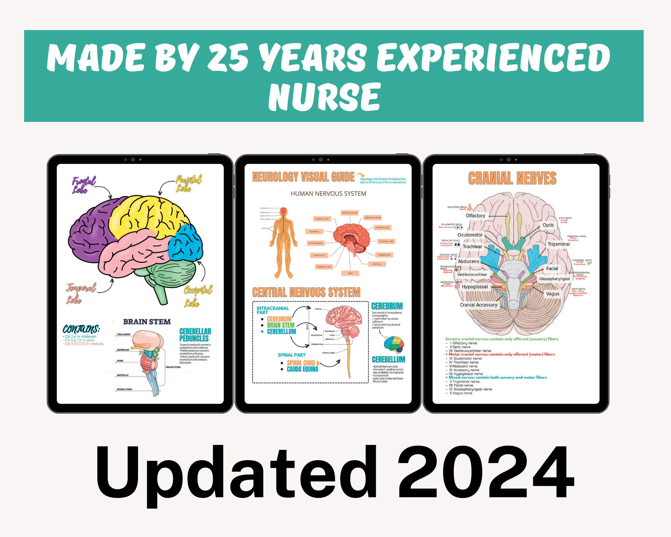 MED SURG: Neurological System, Neuro Bundle Notes, Med Surg Notes ...