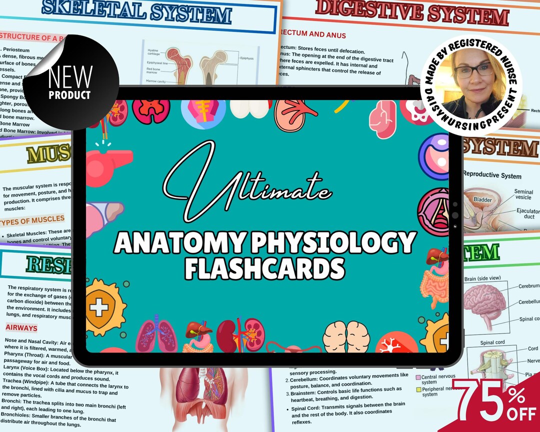 Anatomy & Physiology Flashcards: the Ultimate Study Guide - Etsy
