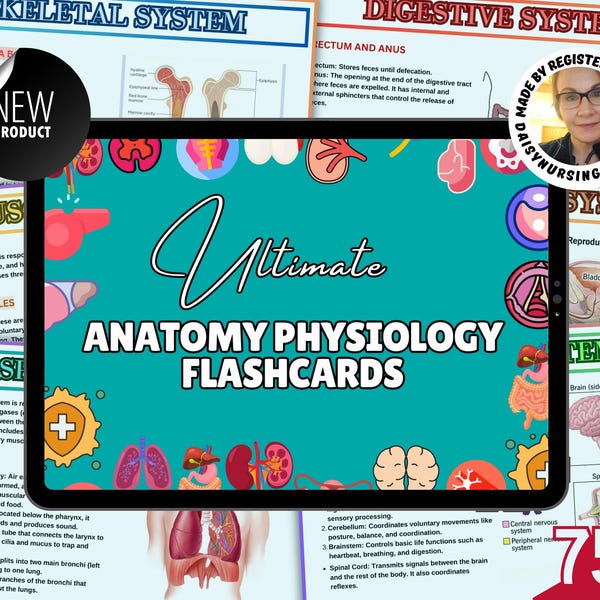 Anatomy Flashcards - Etsy