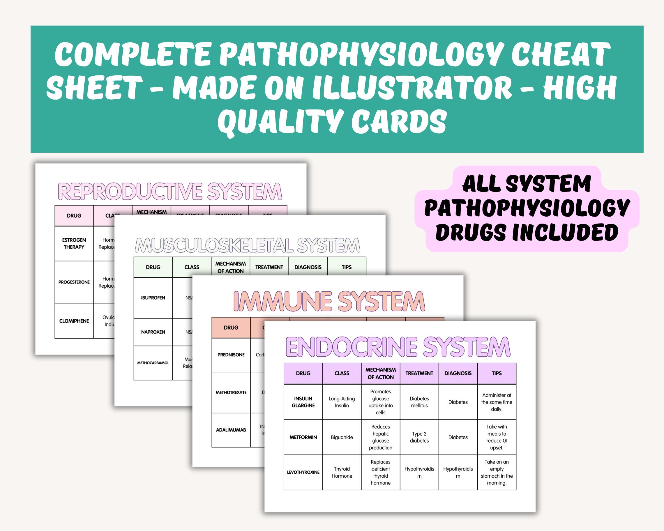 Pathophysiology Cheat Sheet Bundle 2025, Pathophysiology Nursing ...