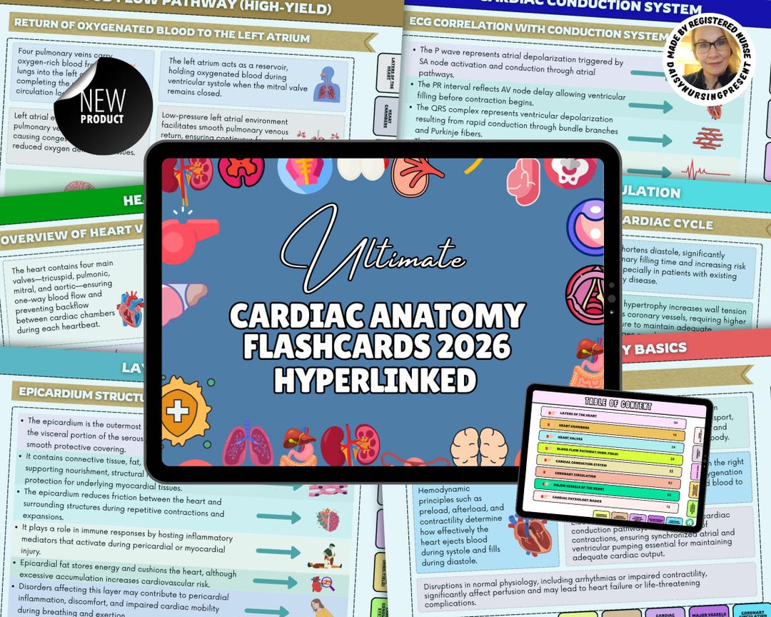 Cardiac Anatomy Flashcards, Cardiovascular System, 100+ Cards ...