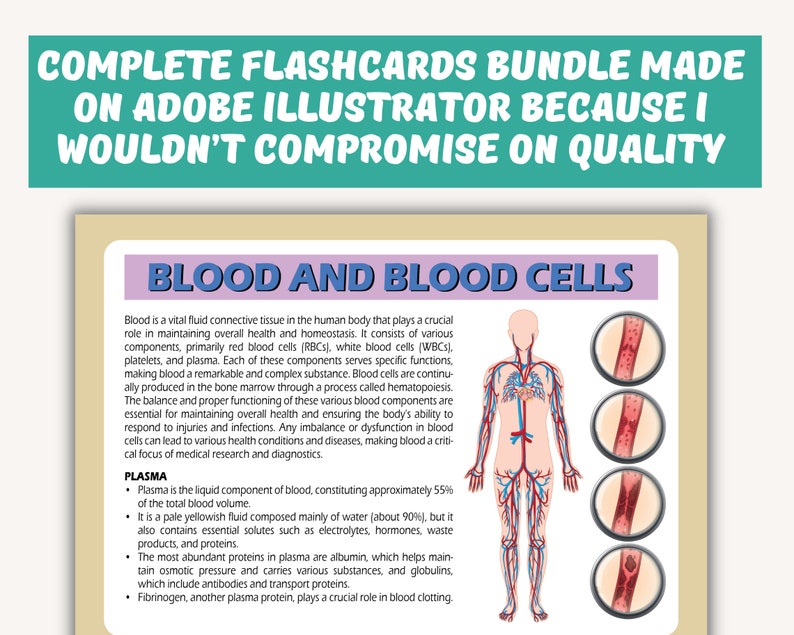 Anatomy & Physiology Flashcards: Human Body Study Guide (digital ...