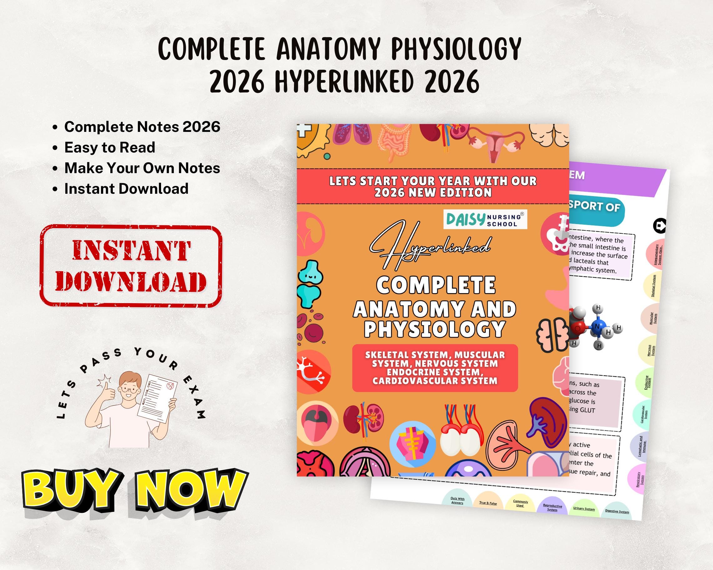 Anatomy and Physiology Nursing Bundle, 100+ Pages, UPGRADED 2026 ...