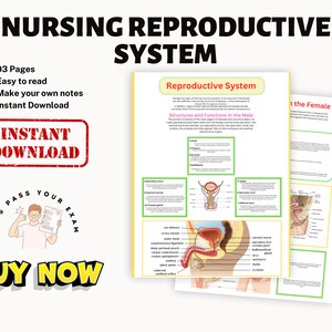 MED SURG: Reproductive System Nursing Notes, Reproductive System ...