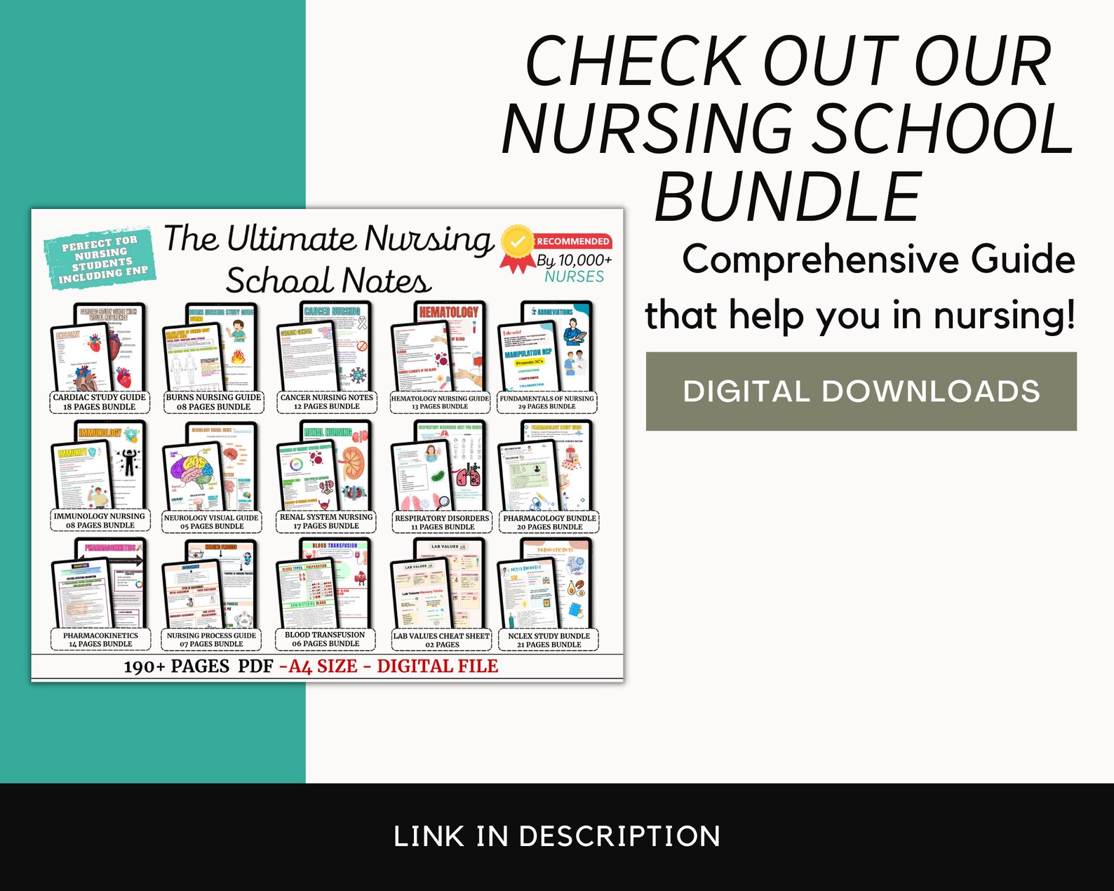 Endocrine System Nursing Study Guide, Endocrine Disorders, Endocrine ...