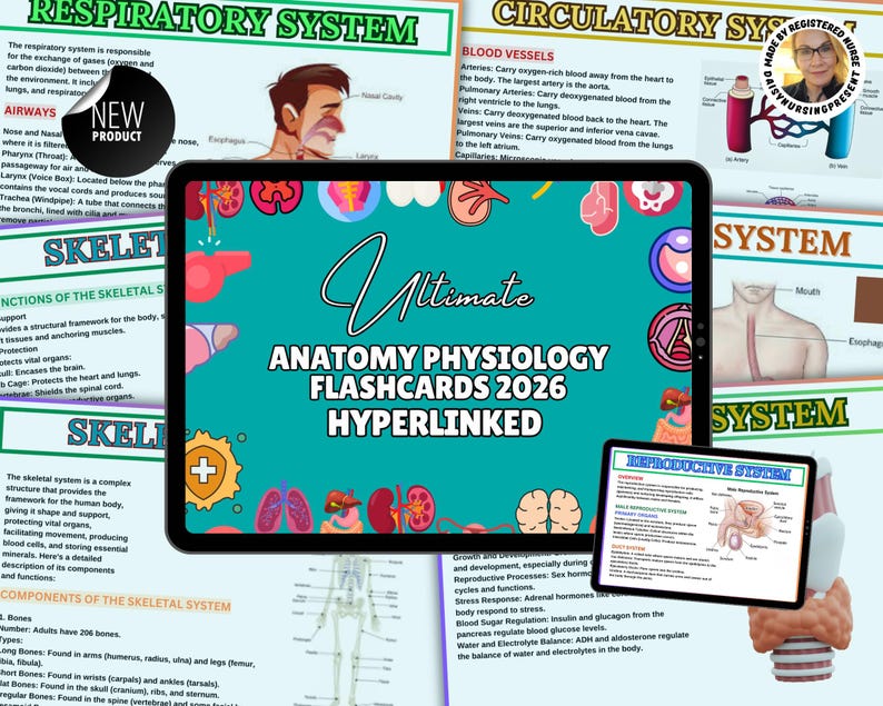 Anatomy & Physiology Flashcards, the Ultimate Study Guide, 2026 Edition ...