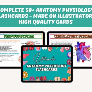 Anatomy & Physiology Flashcards, the Ultimate Study Guide, 2026 Edition ...