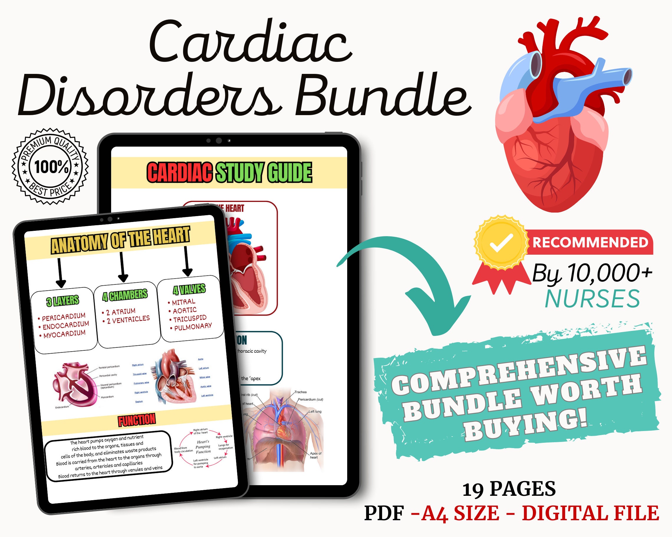 Complete Nursing Study Guide, Med Surg Study Guide, Nursing School ...