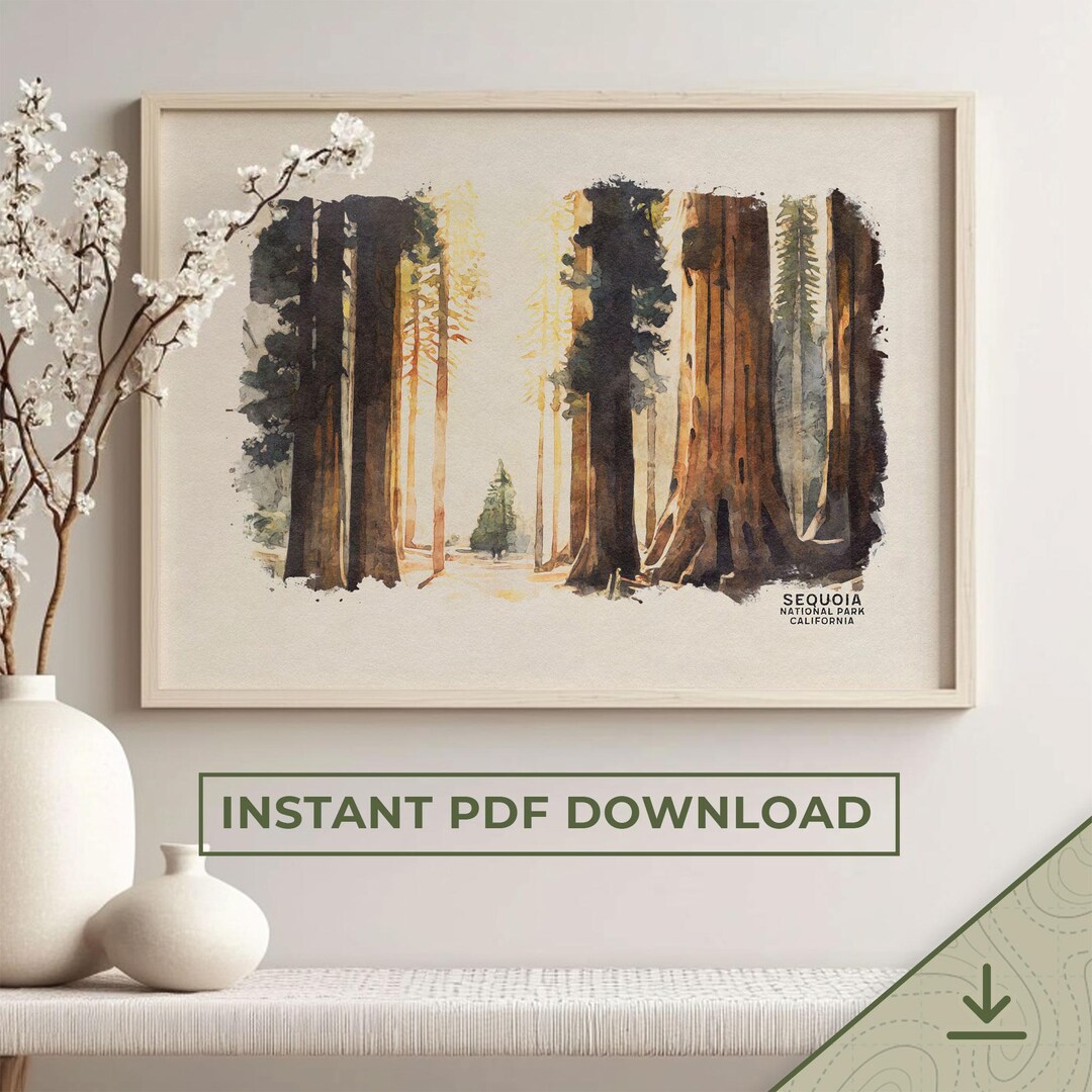 Sequoia National Park Poster, California Painting, National Park Prints ...