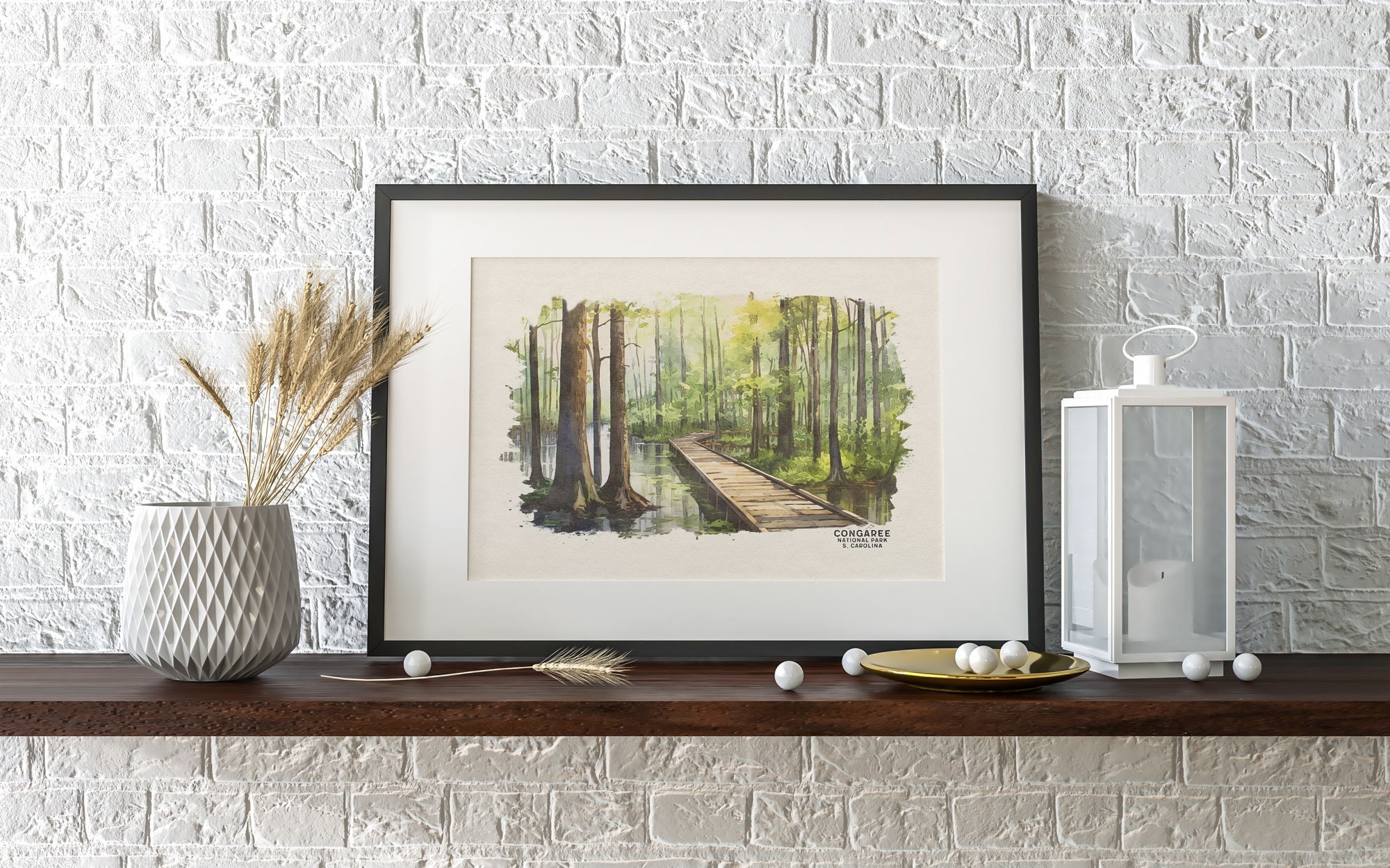 Congaree National Park Poster South Carolina Art National - Etsy