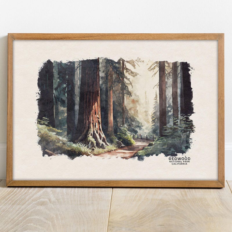 Redwood Print - Etsy