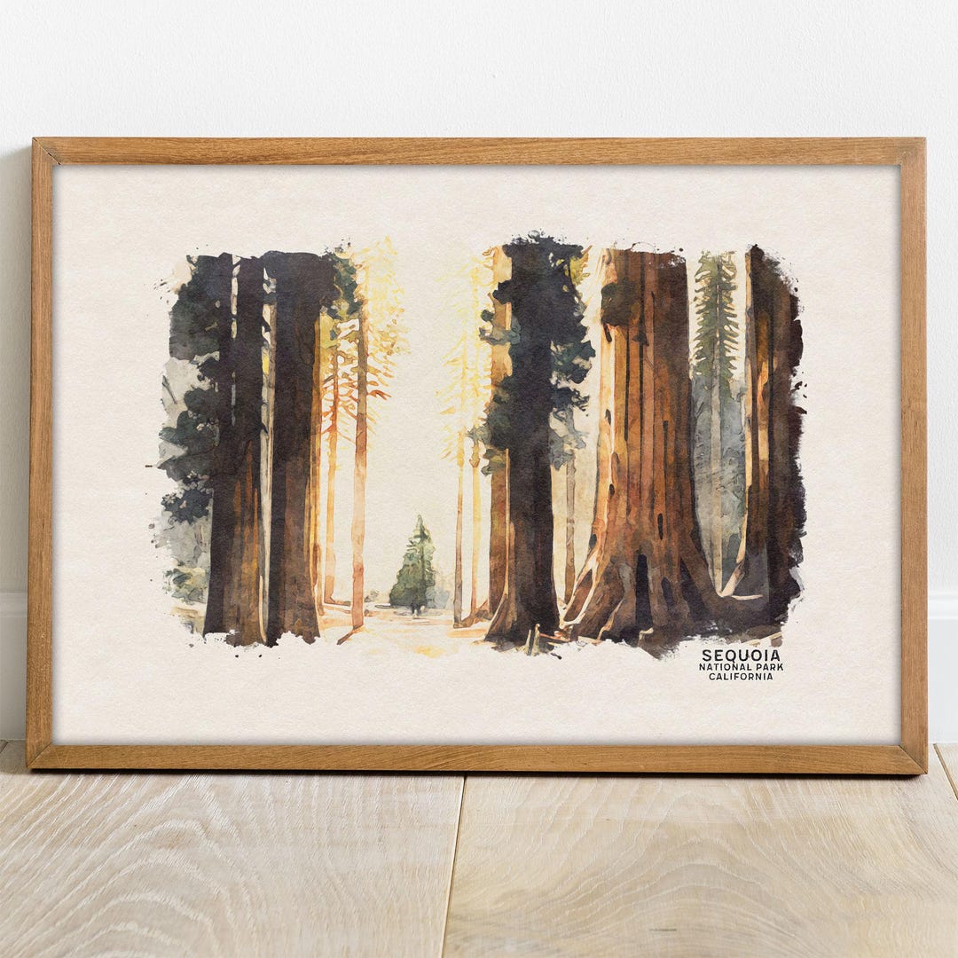 Sequoia National Park Watercolor Print, Redwood Trees, California ...