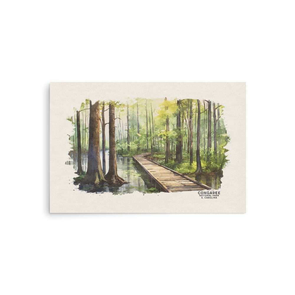 Congaree National Park Poster South Carolina Art National - Etsy
