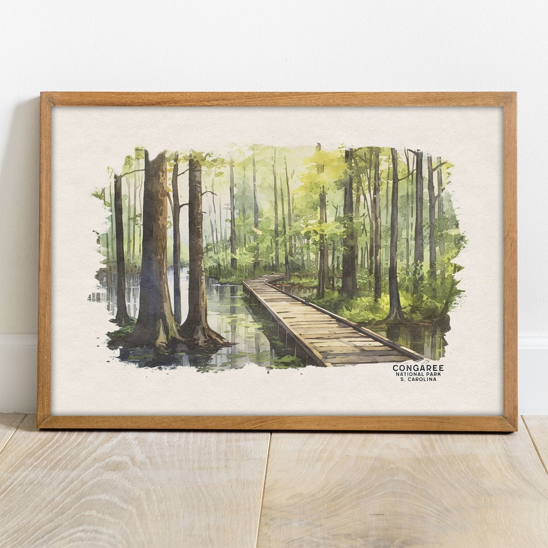 Congaree National Park Poster, South Carolina Art, National Park Prints ...