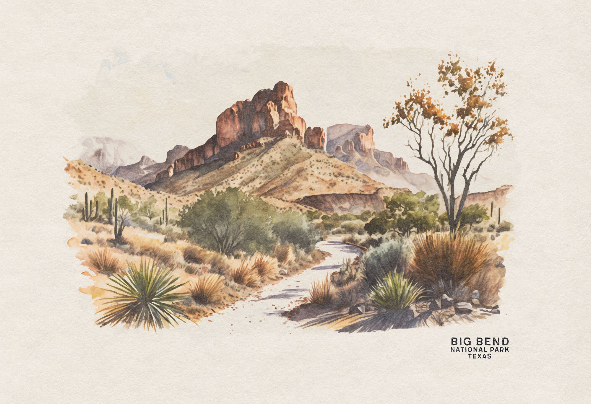 Big Bend National Park Poster Texas Poster National Park Art - Etsy