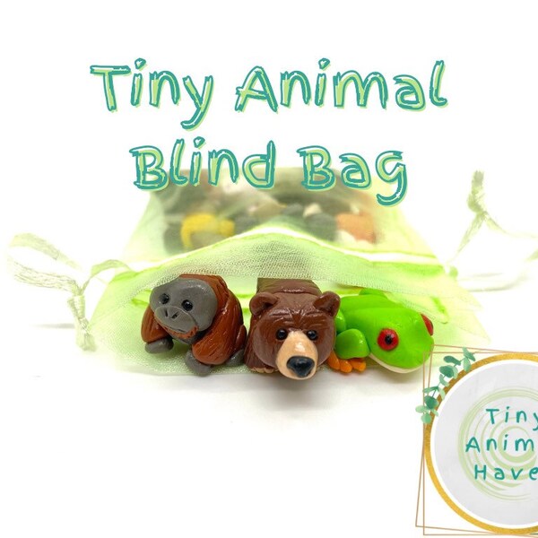 Miniature Blind Box - Etsy