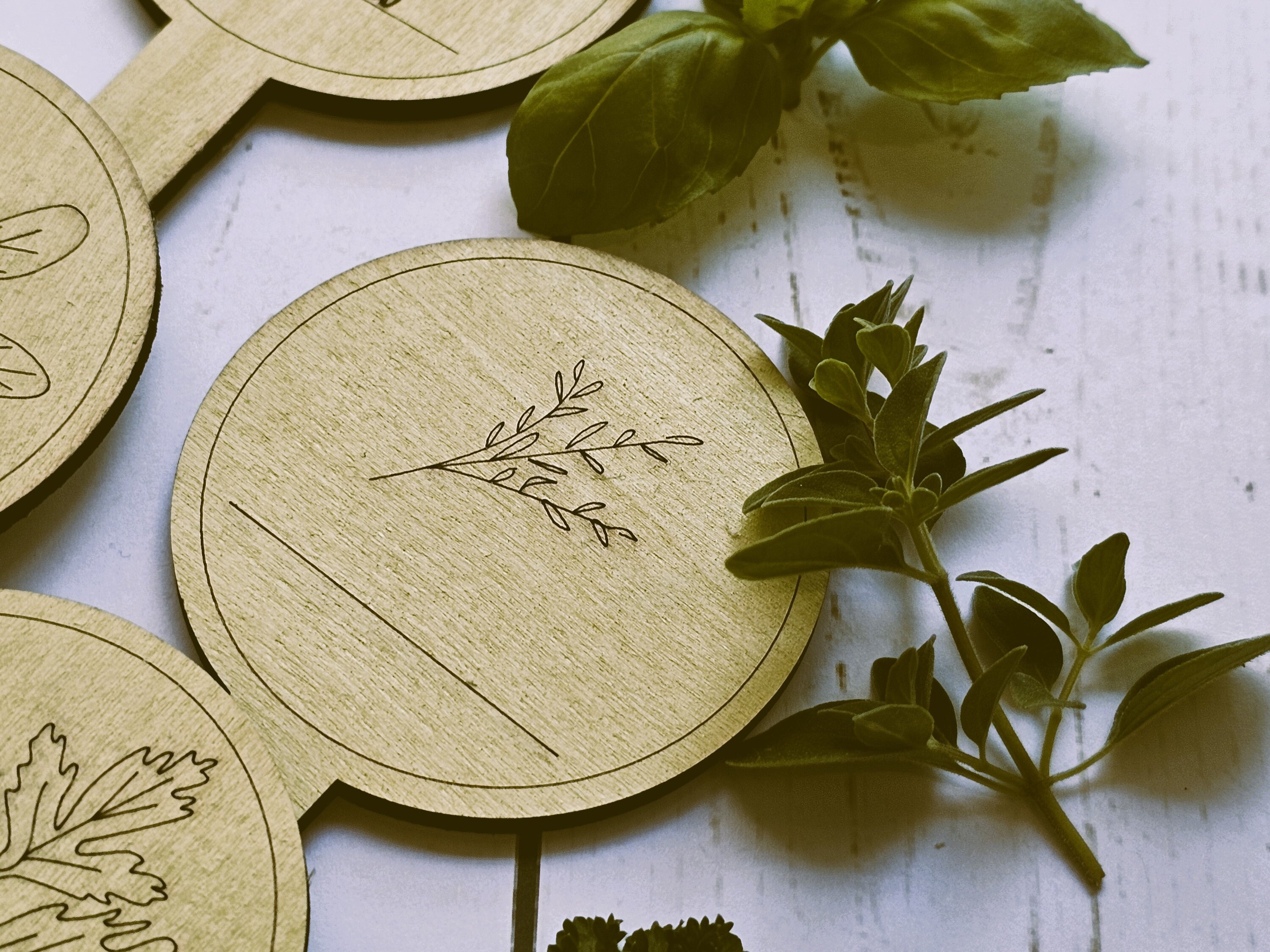 Garden Herbal Labels - Etsy