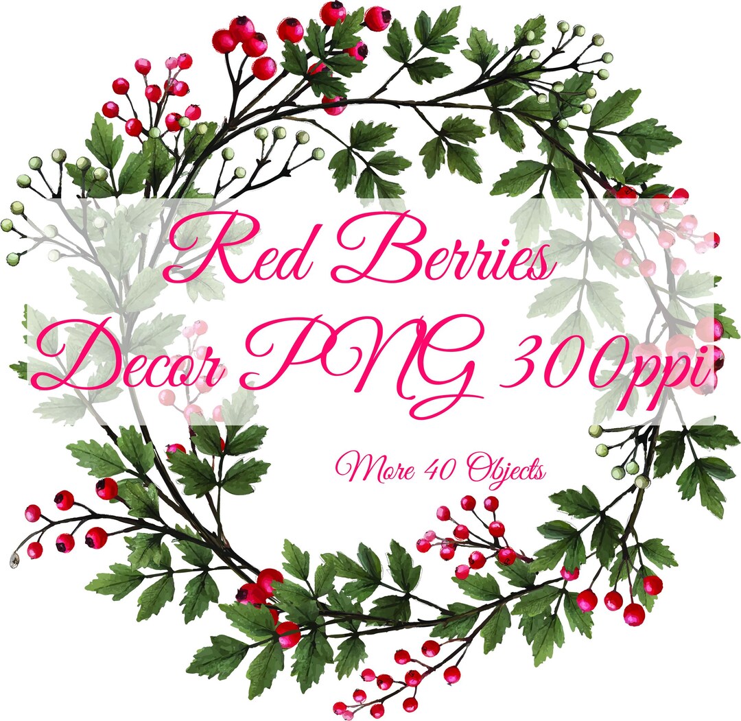 Berry Branches Digital PNG Collection - Etsy