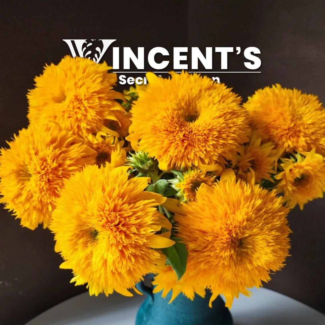 Sunflower SEEDS | Teddy Bear | Fluffy Sunflower for Gardens and Cut ...