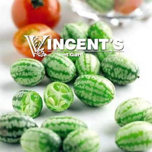 Cucamelon Seeds /pepquinos /finger Watermelon /garden Backyard - Etsy