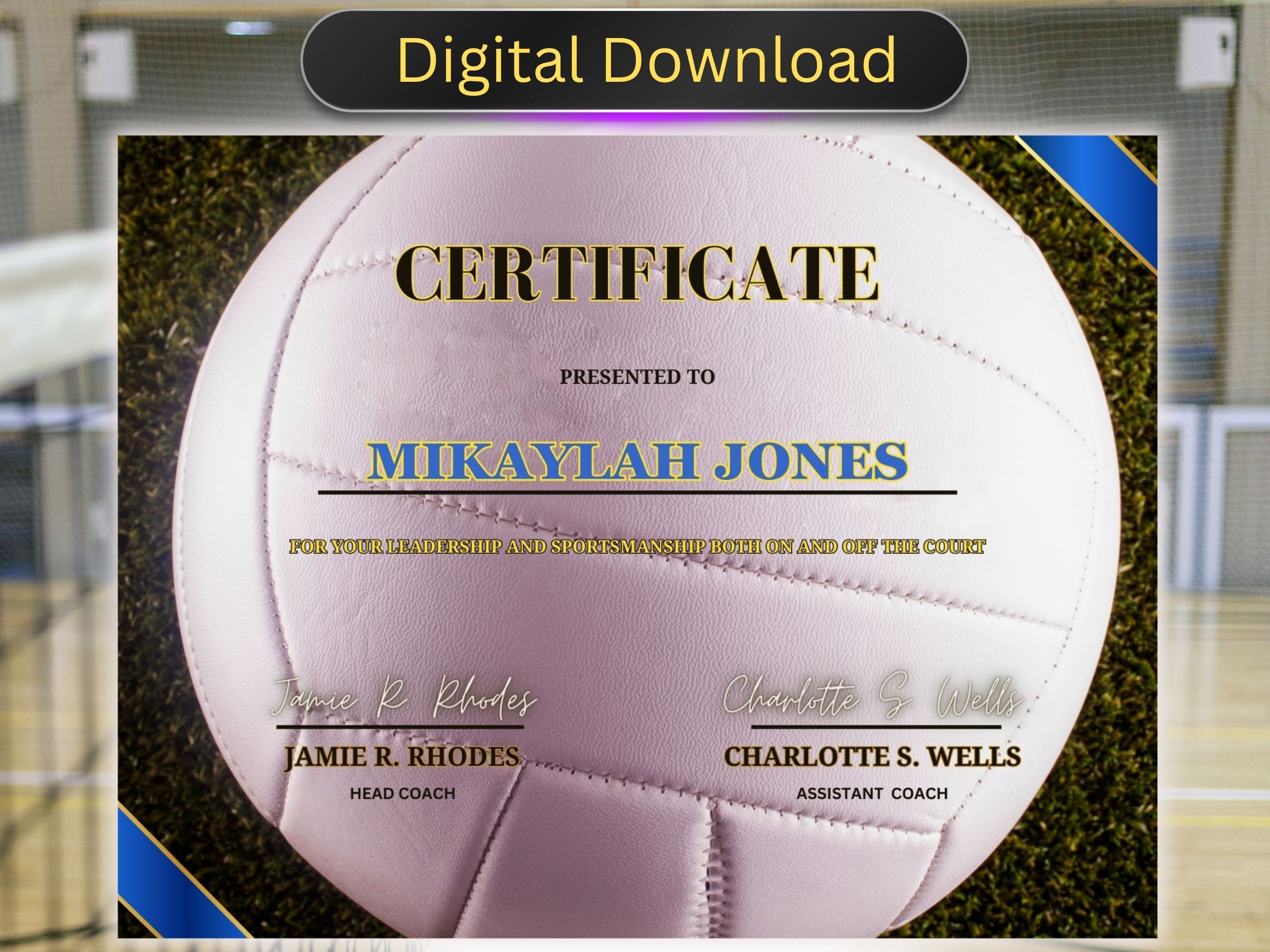 Award, Certificates, Editable Volleyball Award, Editable- You Type, DIY ...
