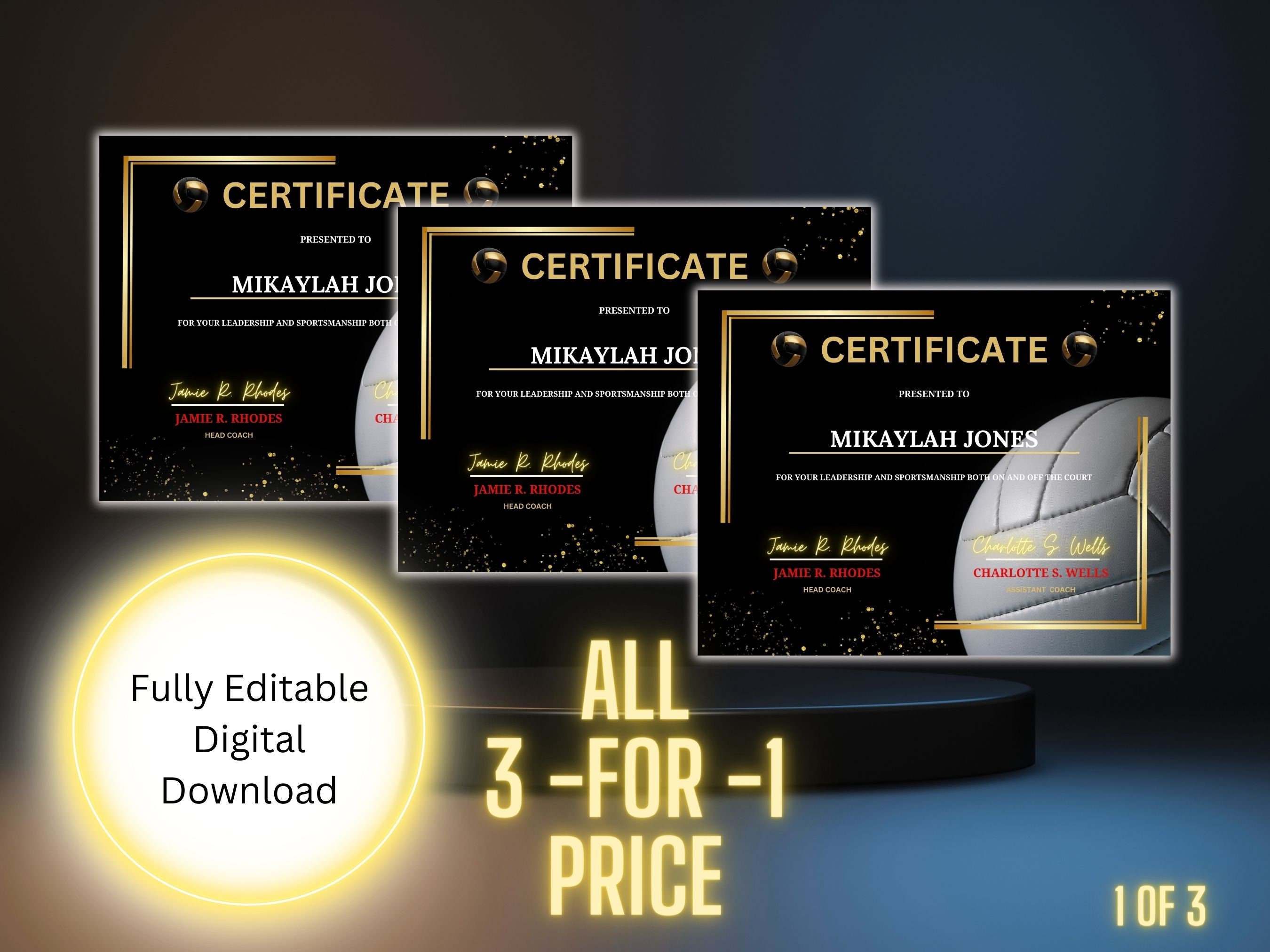 Award, Certificates, Editable Volleyball Award, Editable- You Type, DIY ...