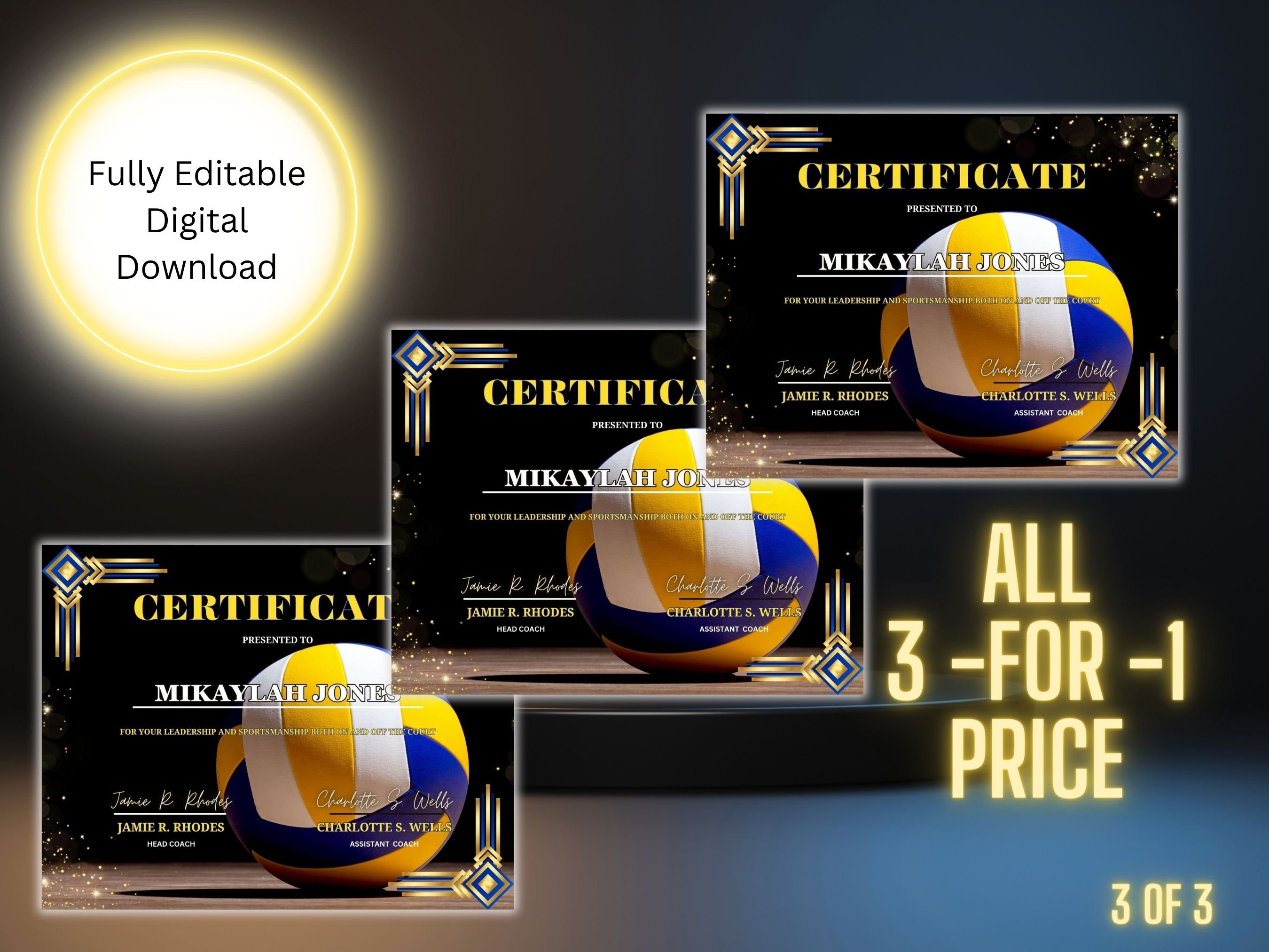 Award, Certificates, Editable Volleyball Award, Editable- You Type, DIY ...