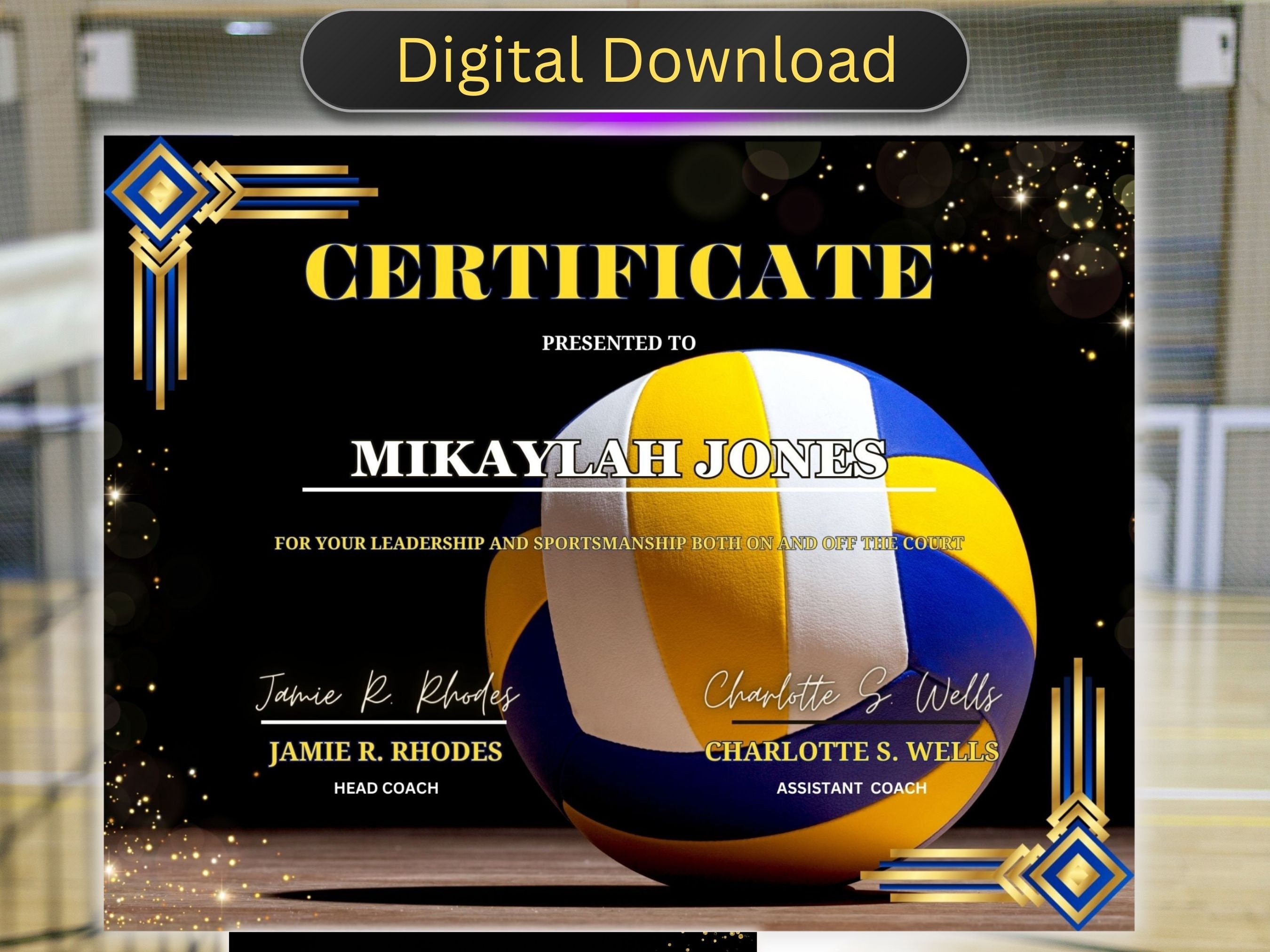 Award, Certificates, Editable Volleyball Award, Editable- You Type, DIY ...