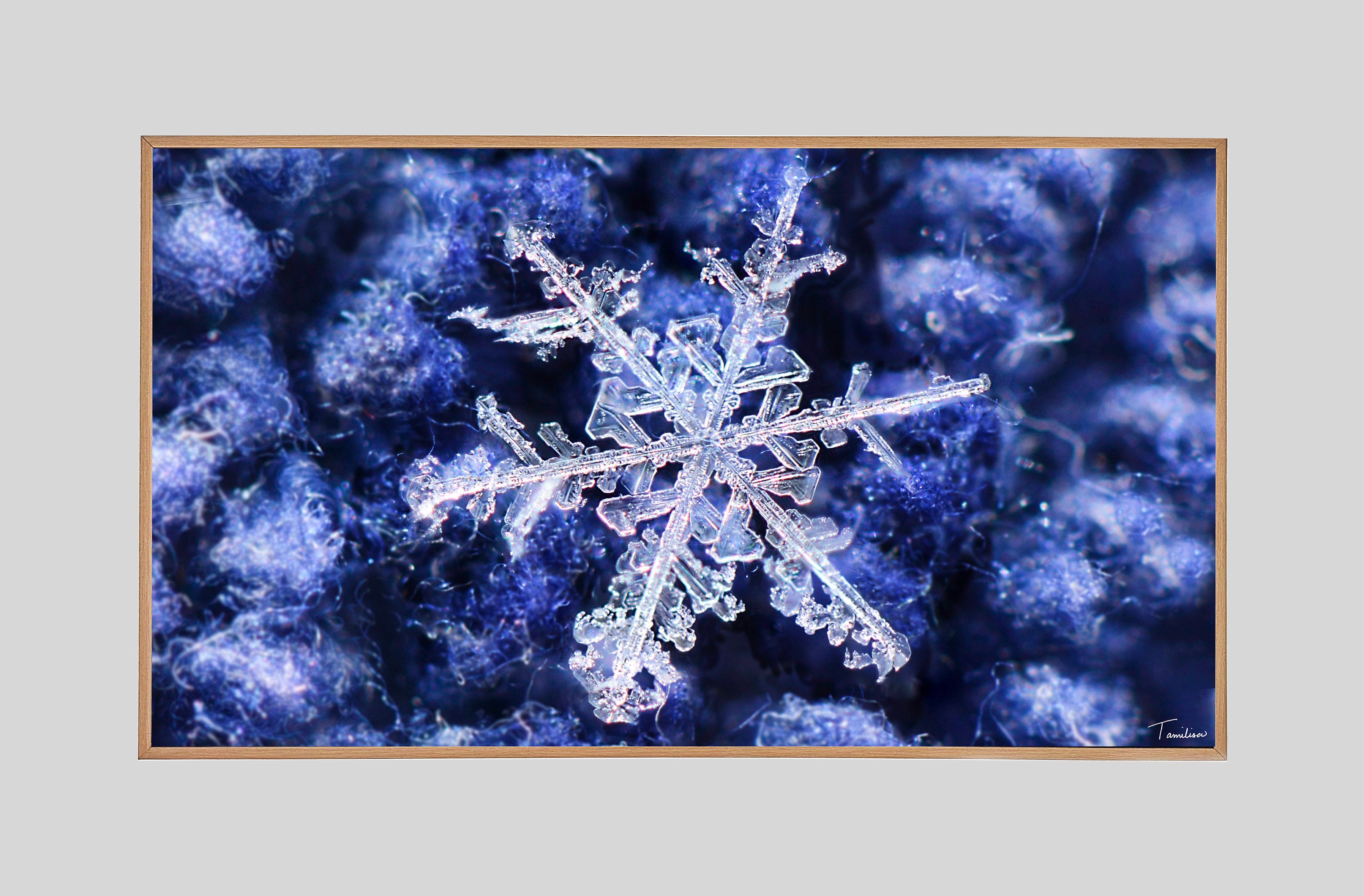 Silver Snowflake Frame