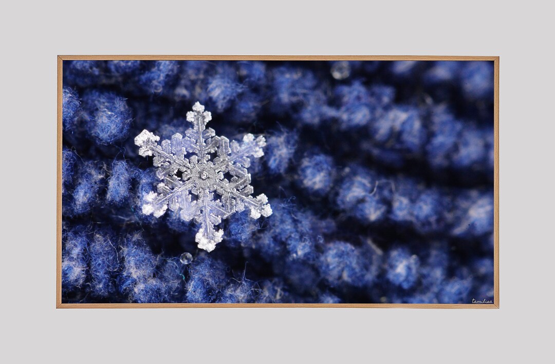 Winter Snowflake Samsung Frame TV Art: Cabin Nature Photo (instant ...