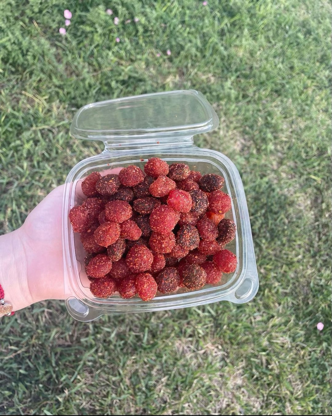 Gushers Enchilados - Etsy