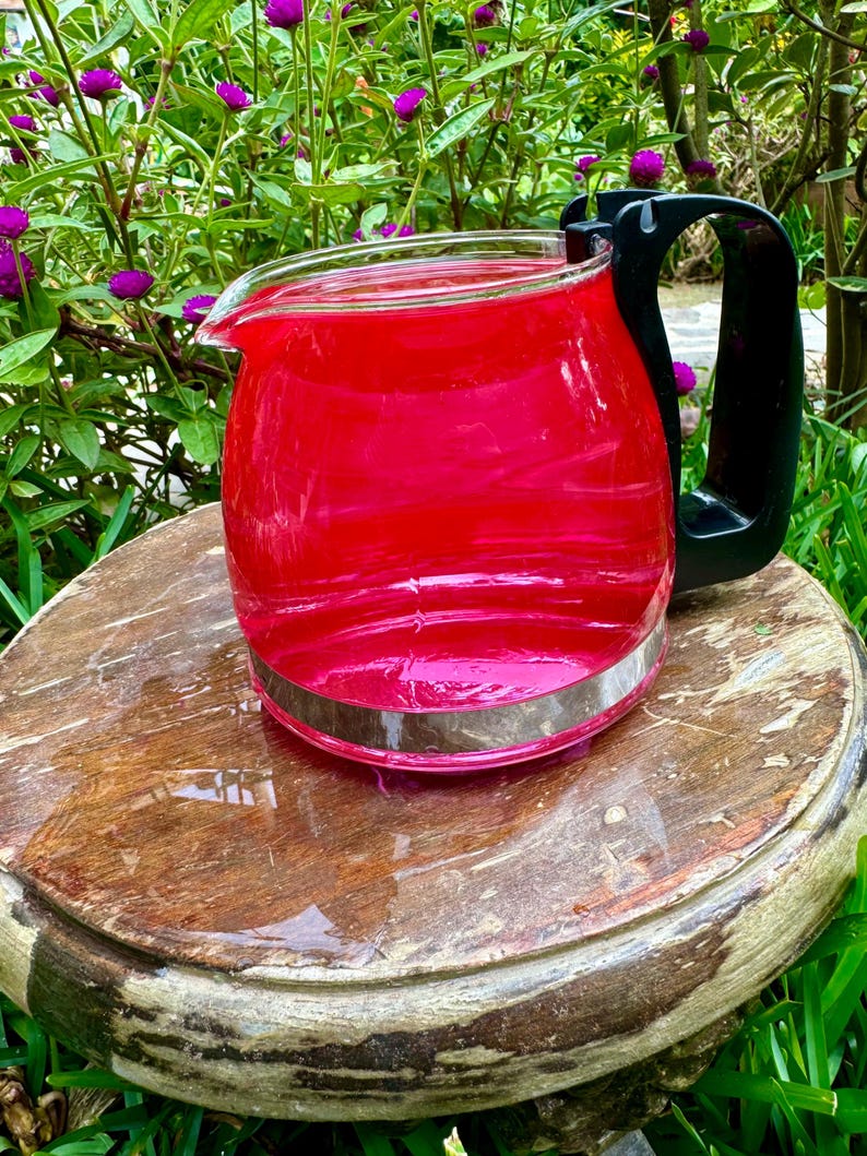 Costus Igneus Hot Pink Tea! - Etsy