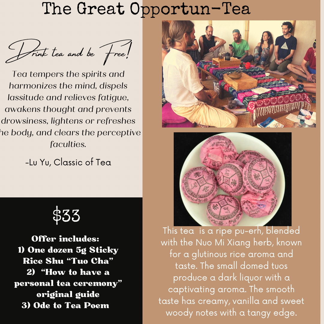 My Favorite Tea: Sticky Rice Puer! - Etsy