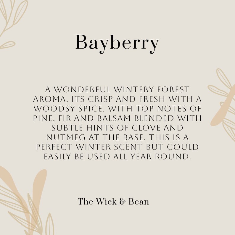 Bayberry Tradition Candle | Natural Soy Wax | Dye Free | Hand Poured ...