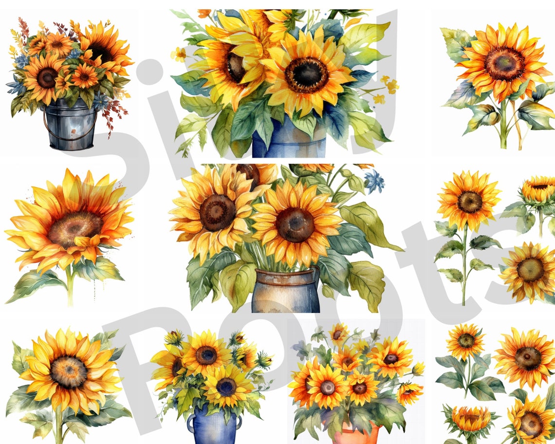 70 Sunflower Clip Art Bundle | PNG No Background | Wedding Invitations ...