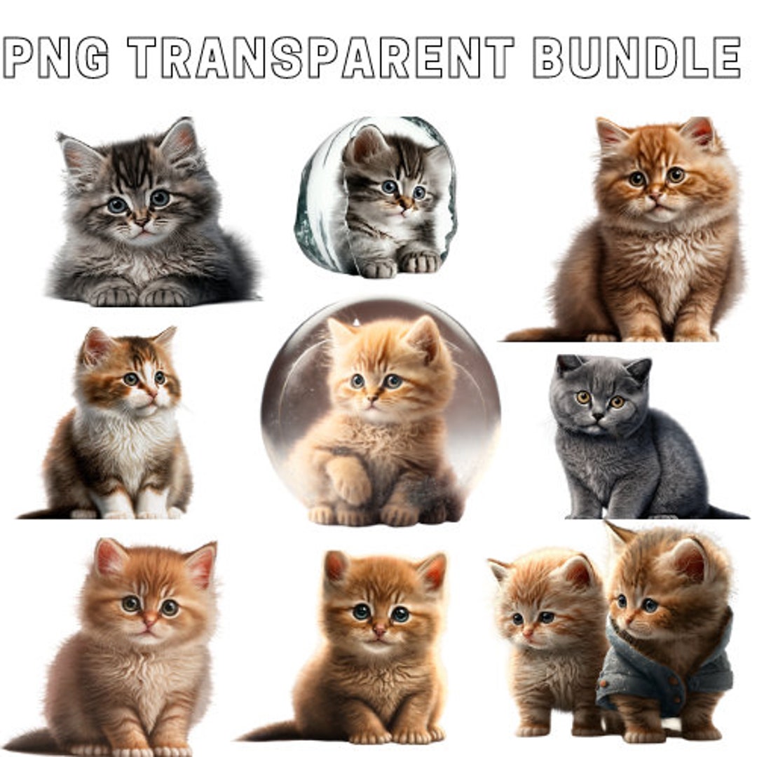 9 Cute Cat/kitten Collage Pack PNG Digital Download Only/transparent ...