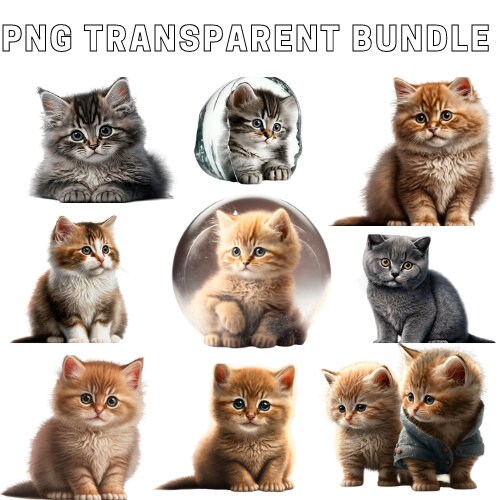 9 Cute Cat/kitten Collage Pack PNG Digital Download Only/transparent ...