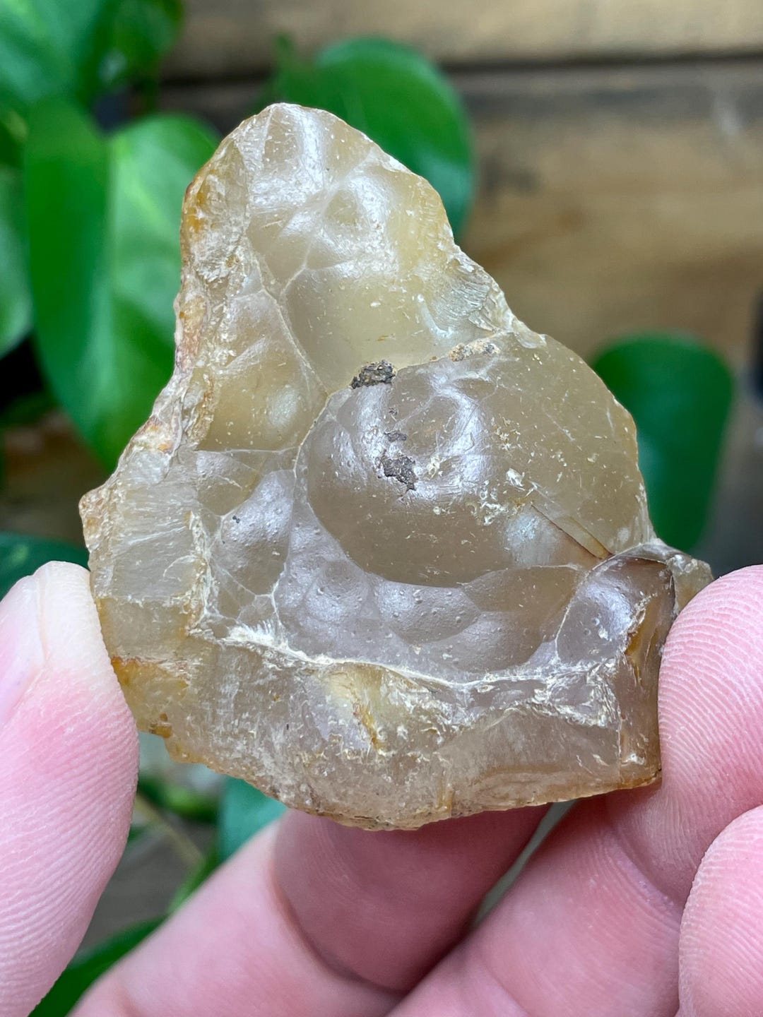 Botryoidal Agate Found in Washington - 43g - Etsy