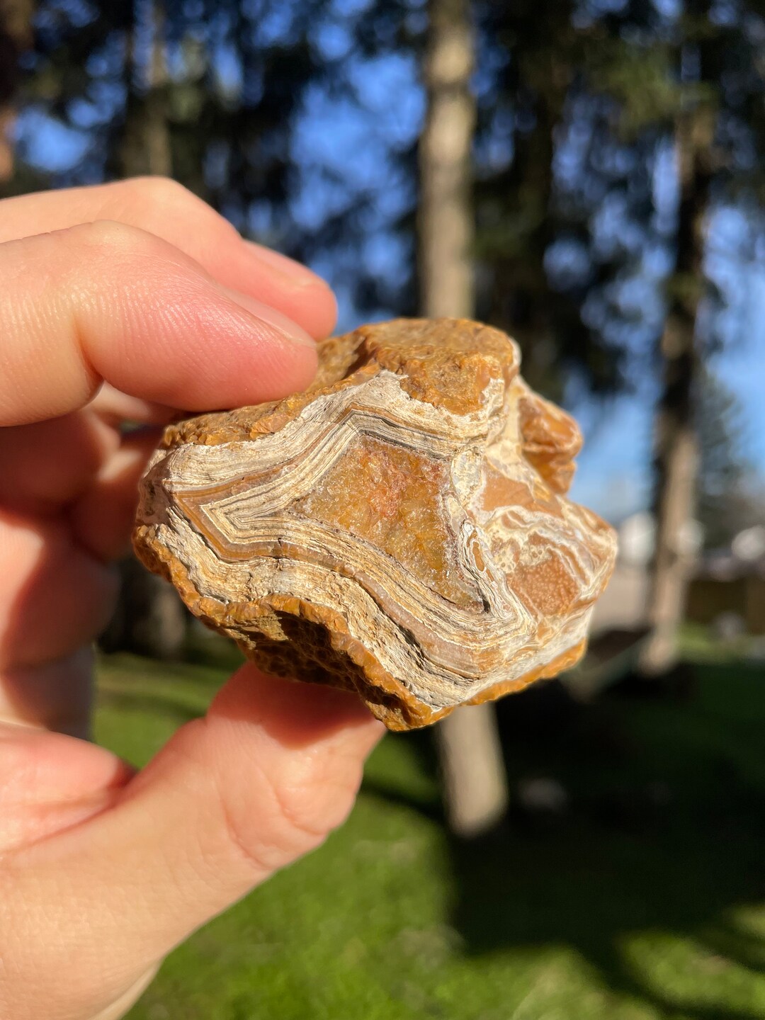 163g Carnelian Agate Rough, Buckskin Natural Agate - 163g - Etsy