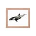 Orca (killer) Whale Watercolor Painting - Etsy