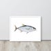 Watercolor Tuna Fish in Framed Poster - Etsy