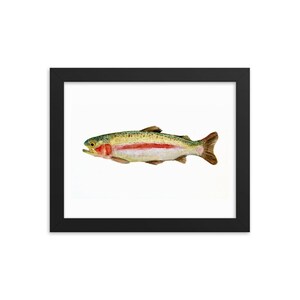 Rainbow Trout Watercolor Print - Etsy