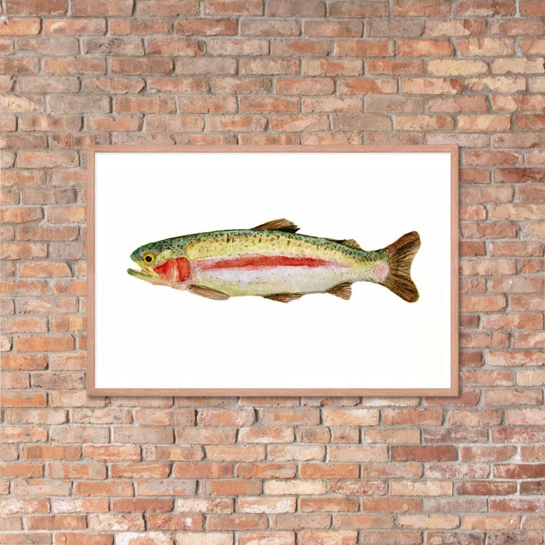 Rainbow Trout Watercolor Print - Etsy