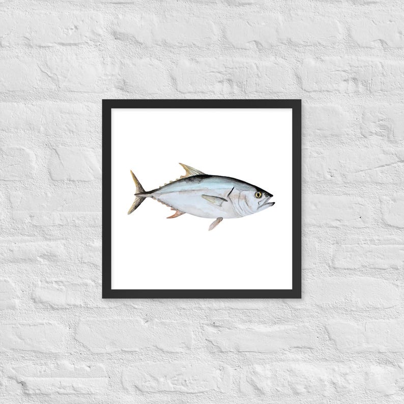 Watercolor Tuna Fish in Framed Poster - Etsy