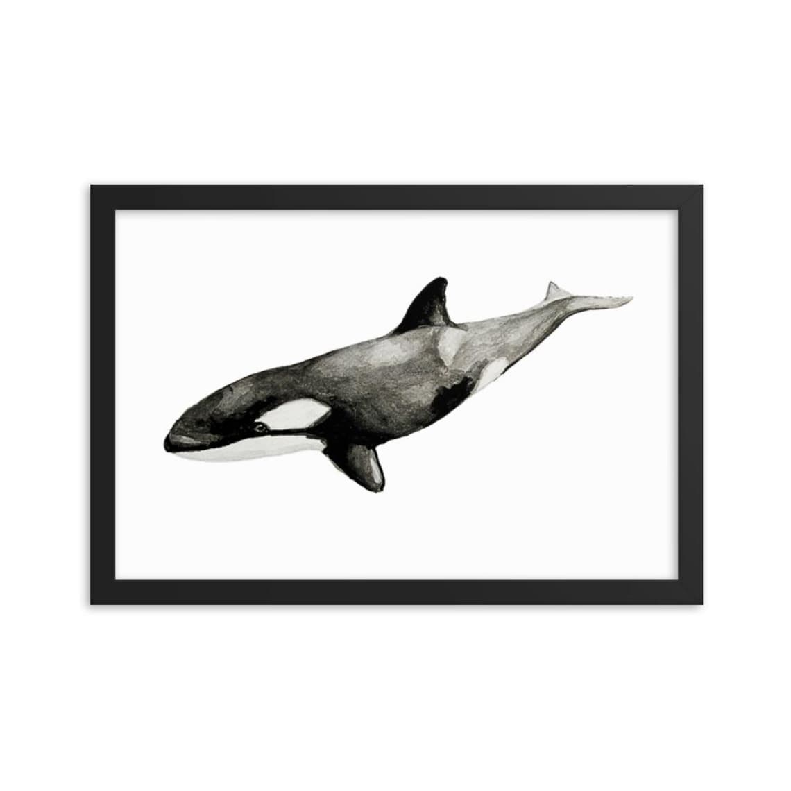 Orca (killer) Whale Watercolor Painting - Etsy