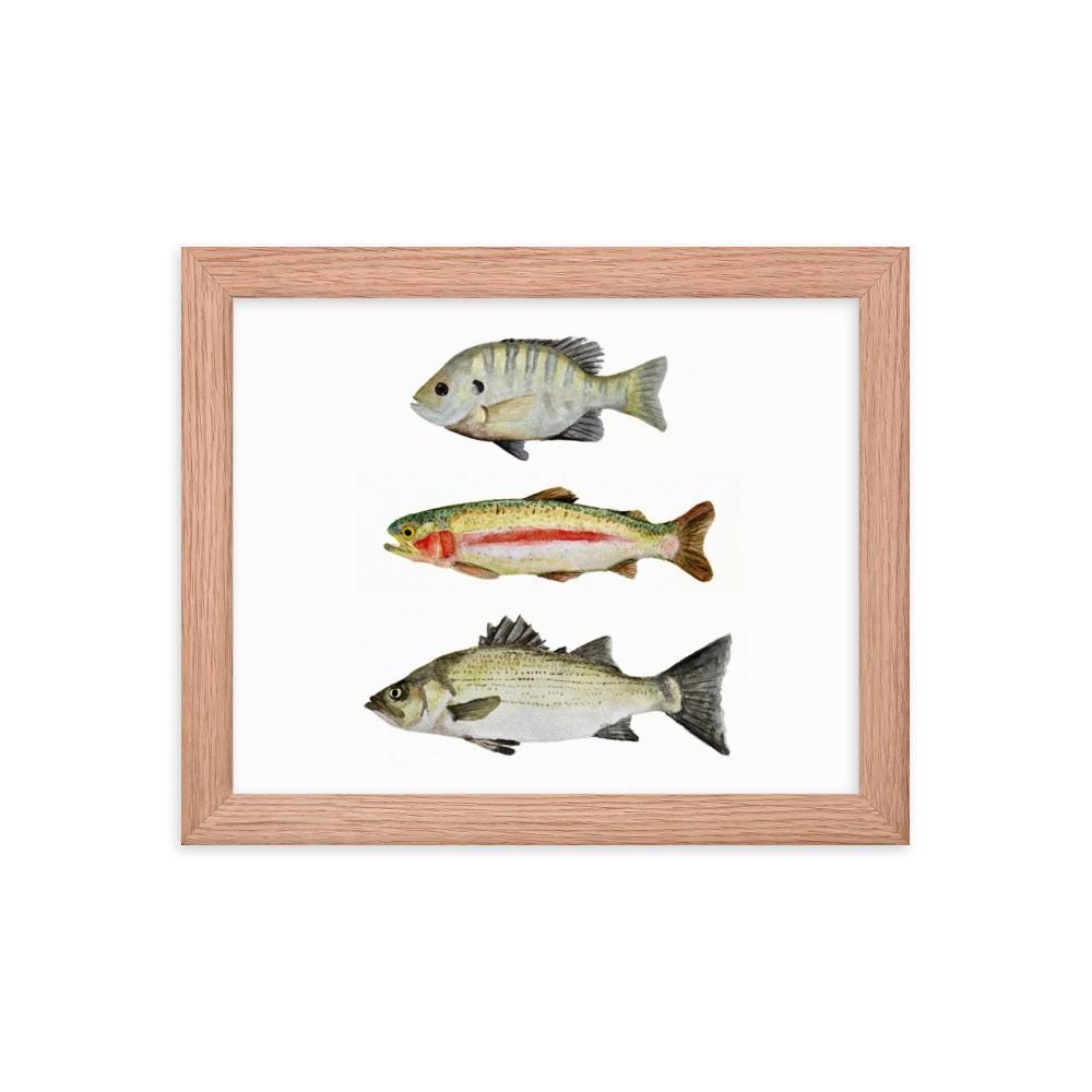 Four Fish Watercolor Print - Etsy