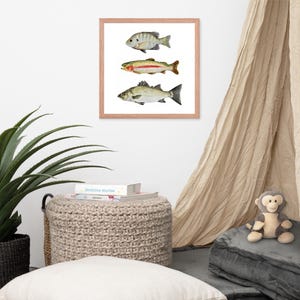 Four Fish Watercolor Print - Etsy